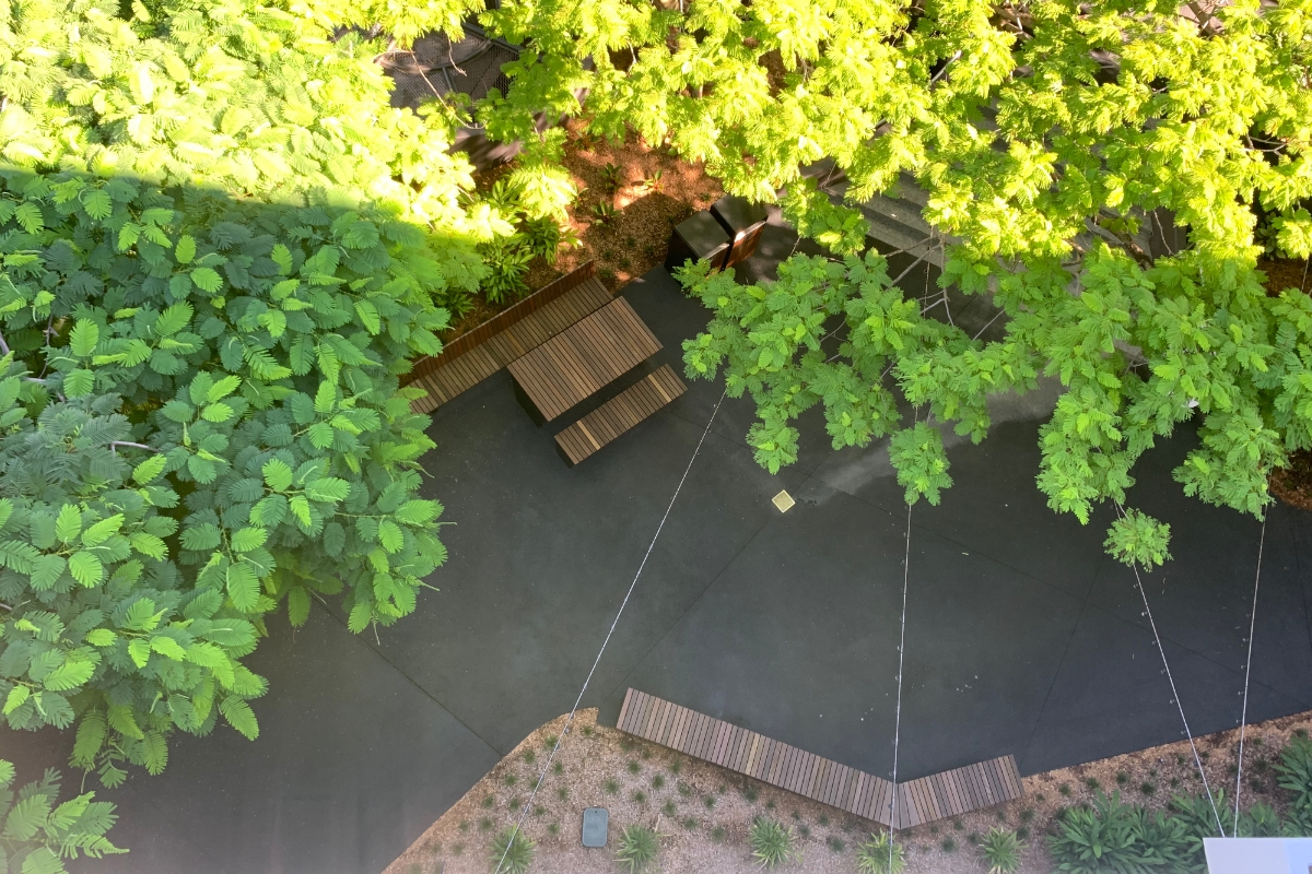 Coronation Drive - Spark